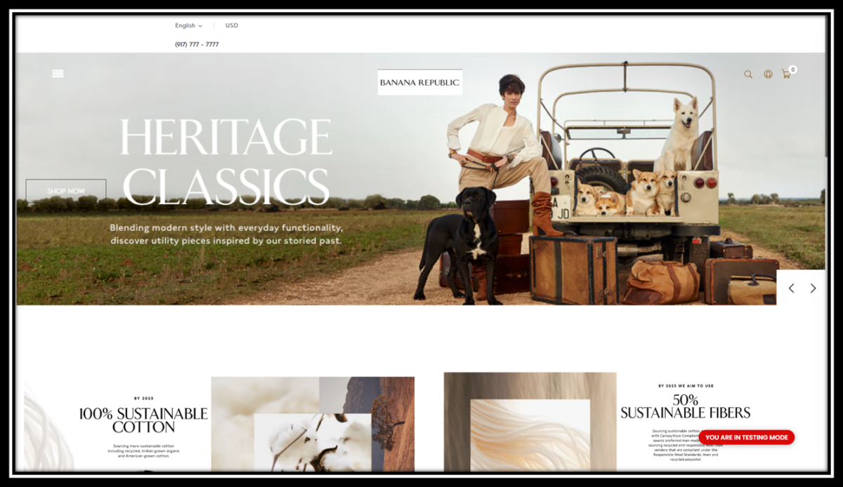 Web Stores - Antera Software USA